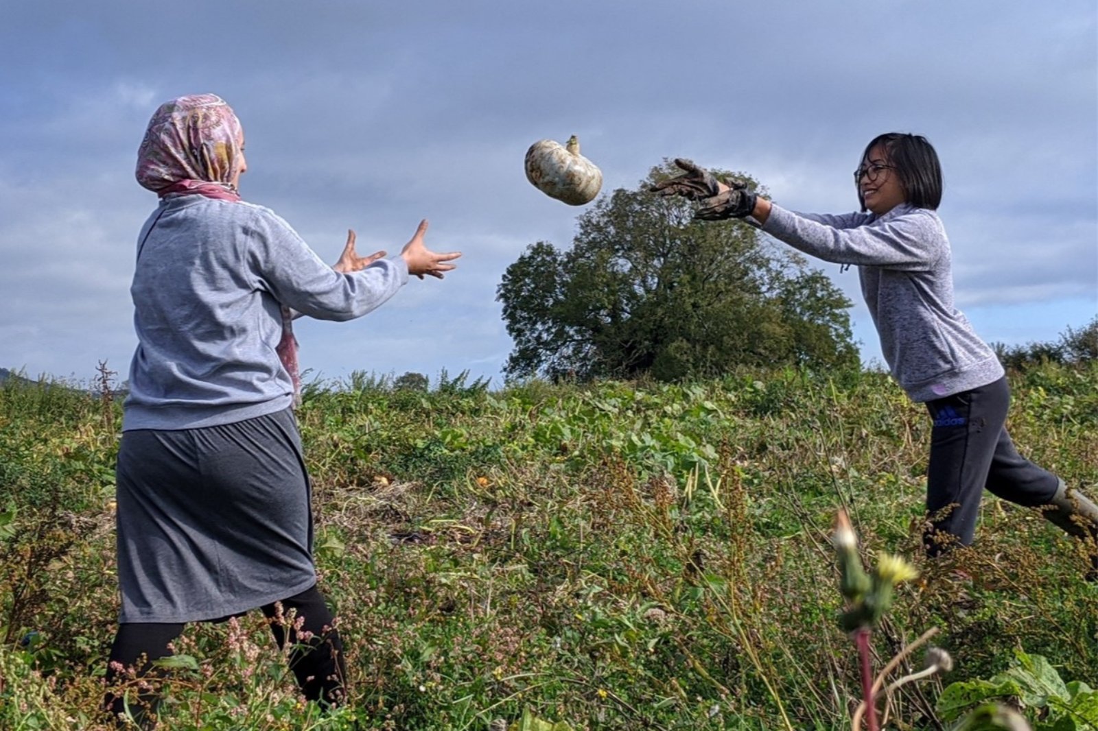 Fringe Farming: peri-urban agroecology towards resilient food economies ...
