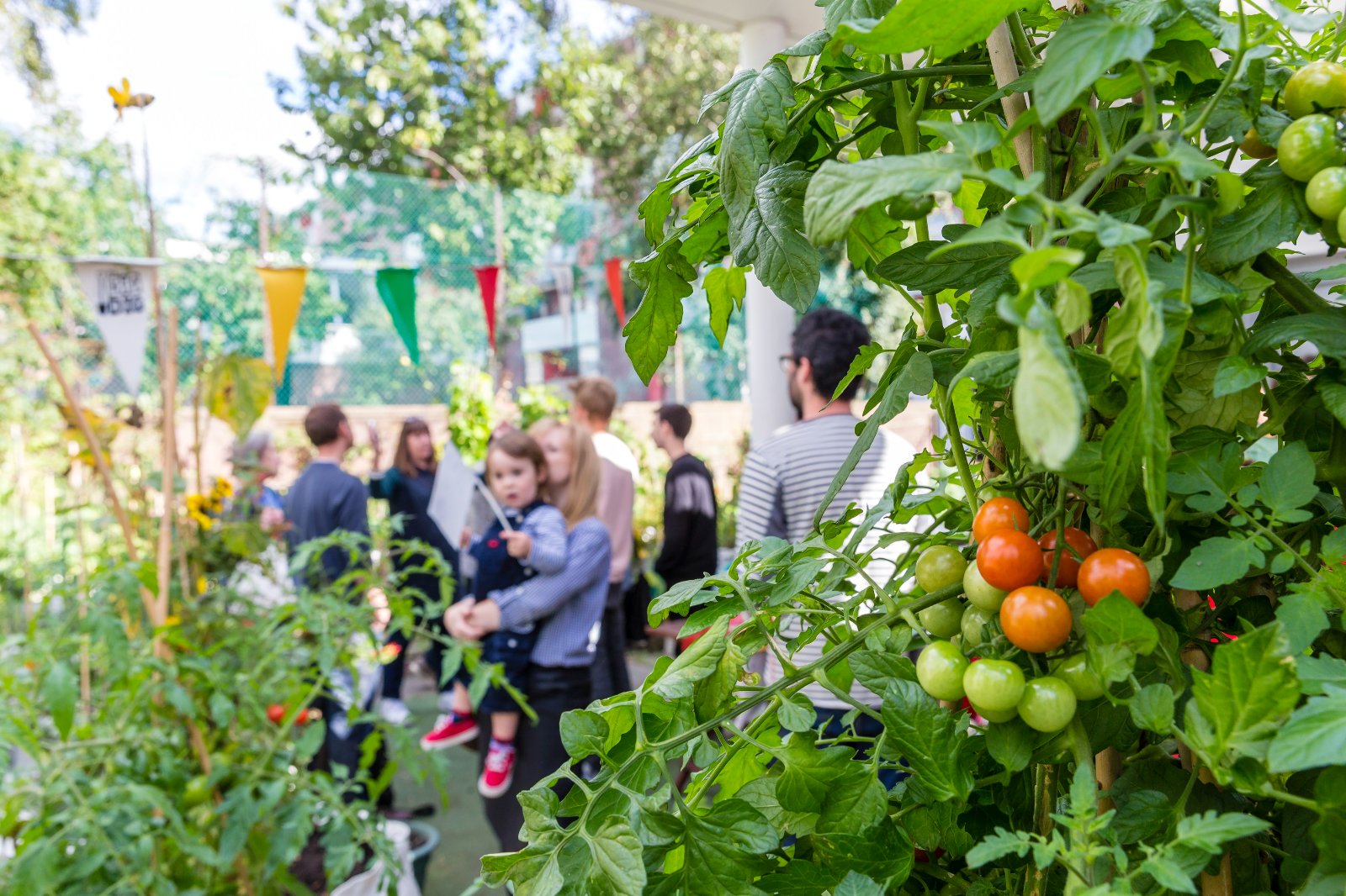 London food growers to rally for action and call for implementation of ...
