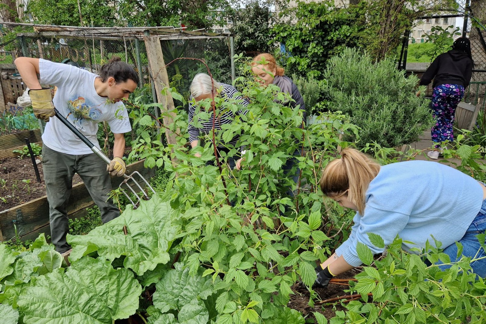 Hull residents given new Right to Grow Food in historic council motion ...
