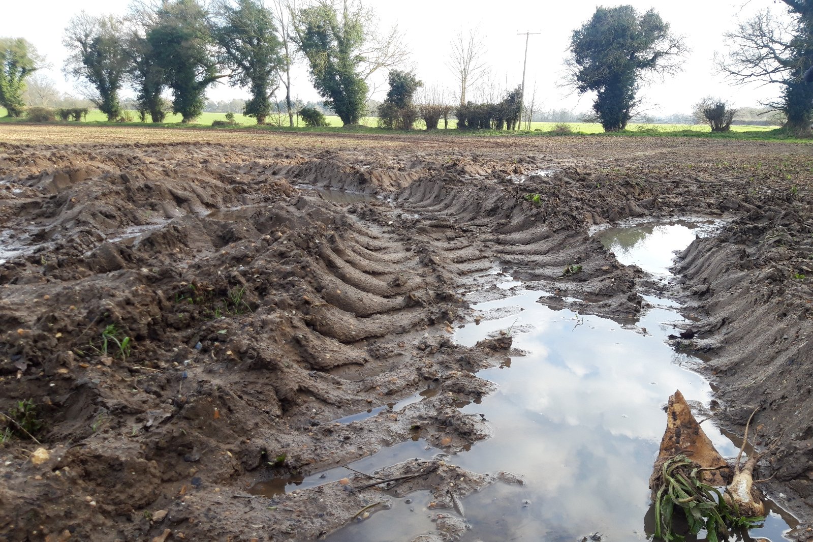 How sugar levies can help protect our soil | Recipe for Change