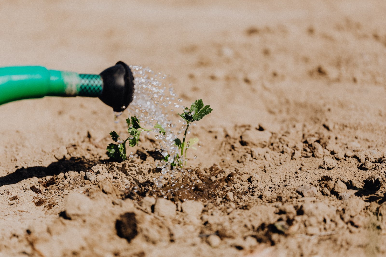 Irrigation for community gardens | Sustain