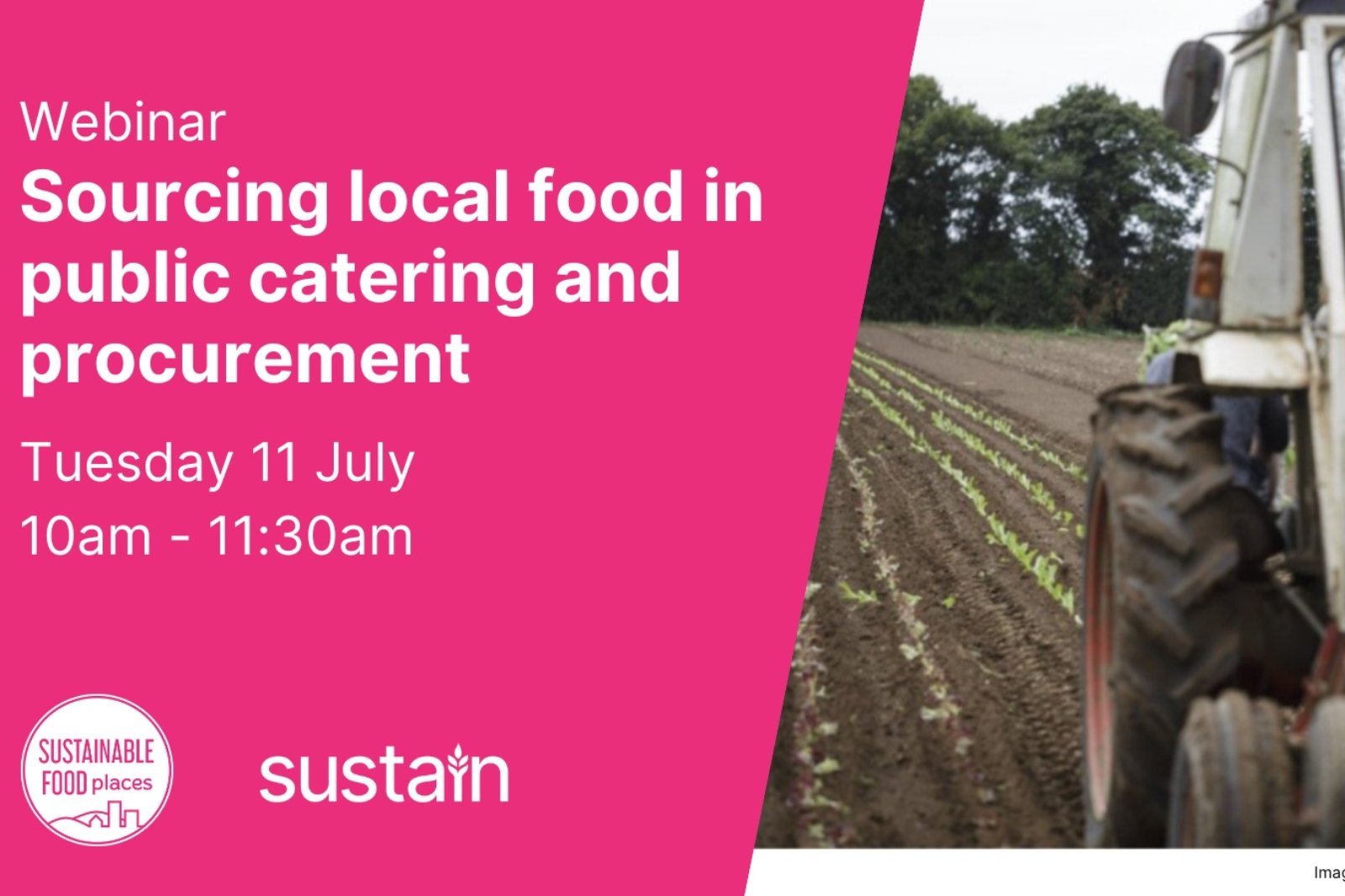 Sourcing local food in public catering and procurement | Sustain