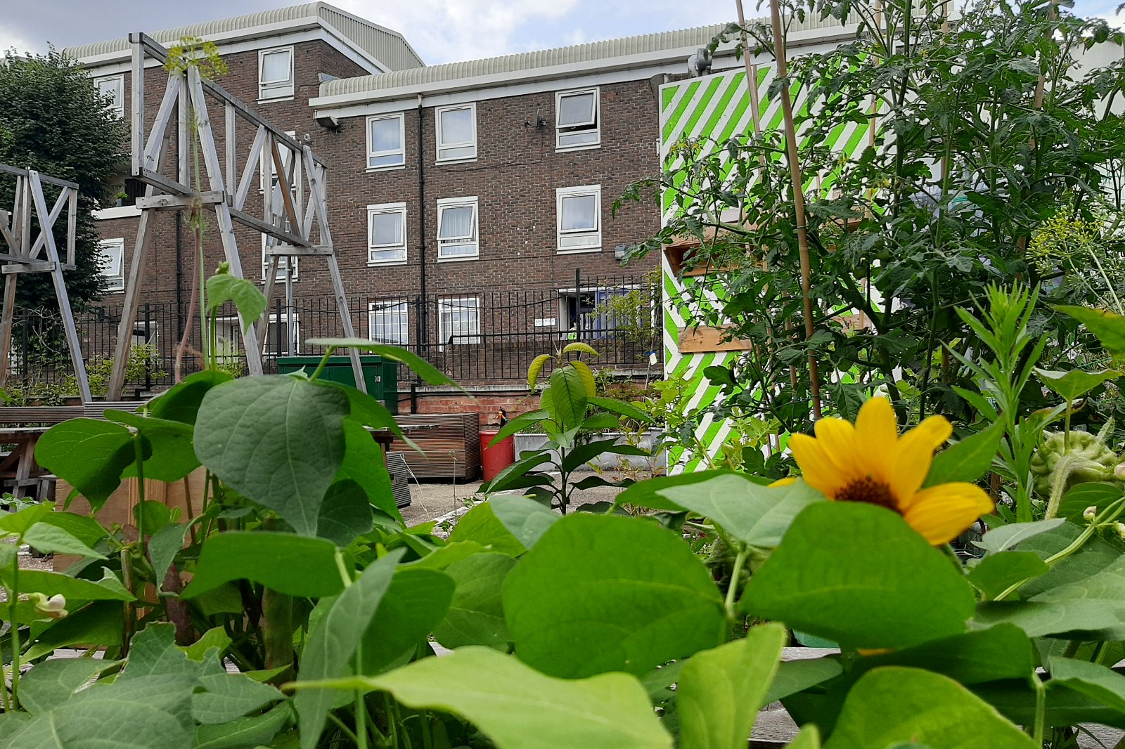 Are Planning policies for a good food environment on their way? | Sustain