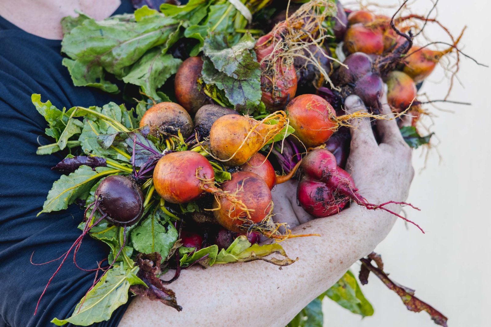 Beyond supermarkets: How local food systems are closing the loop on ...