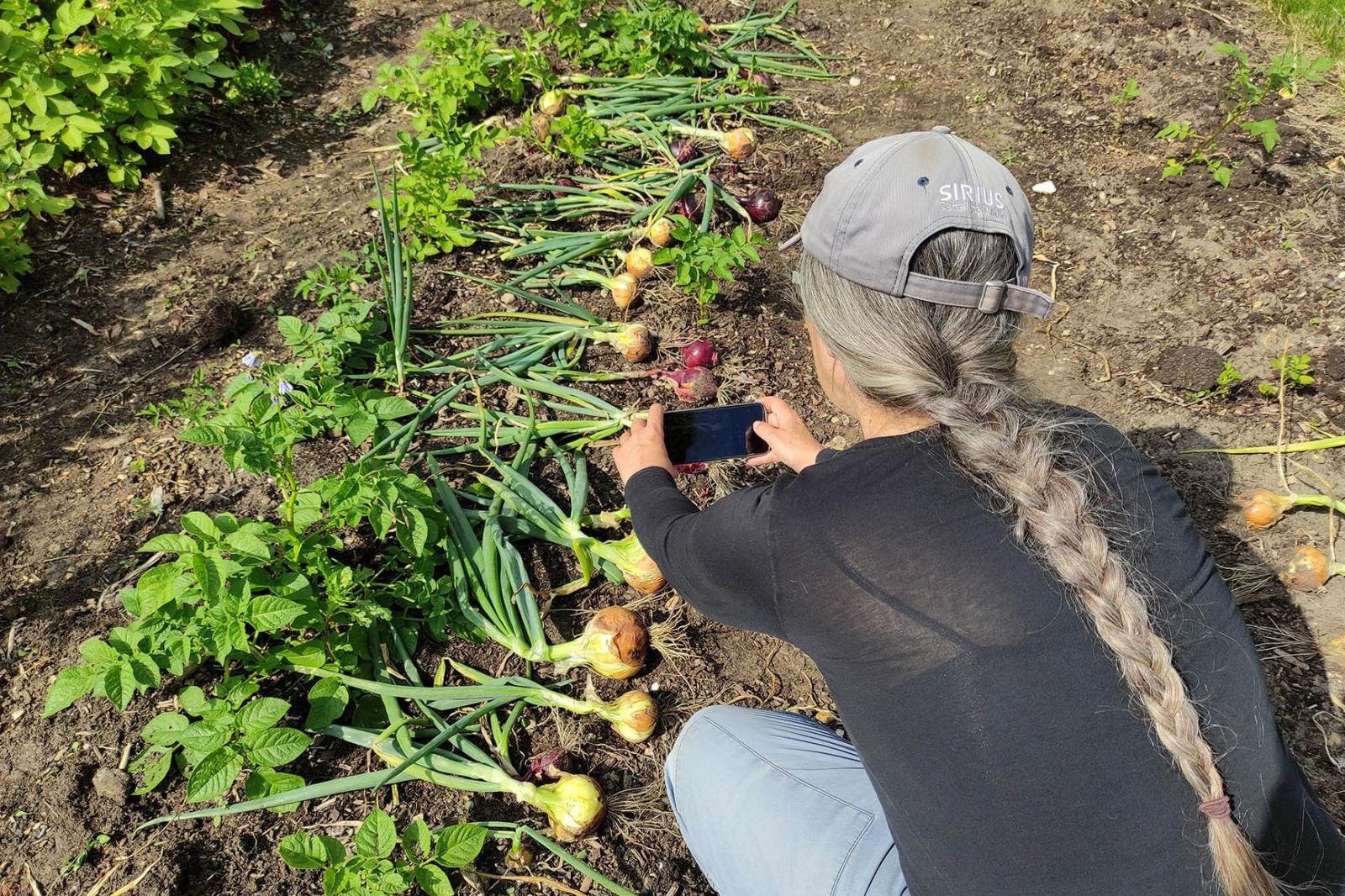 Digital Storytelling and Community Food Growing initiative 2021-22 ...