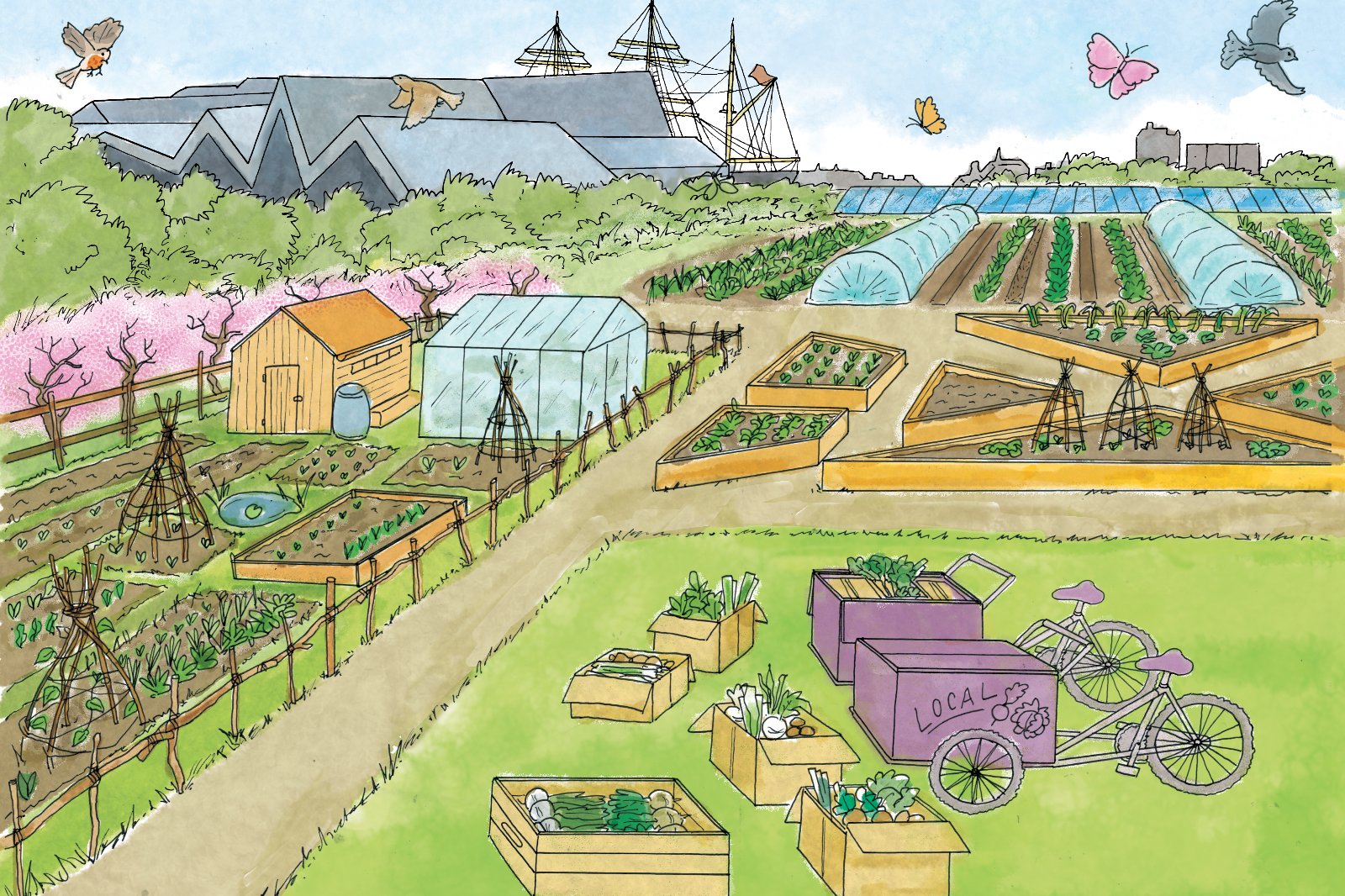 Glasgow Community Food Network calls for better access to land during ...
