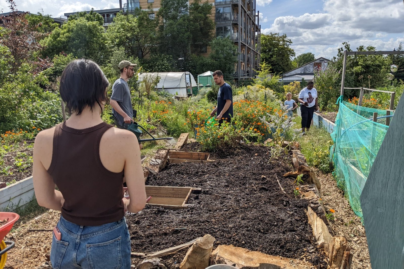 Growing For Change Sessions: Composting essentials and practical ...