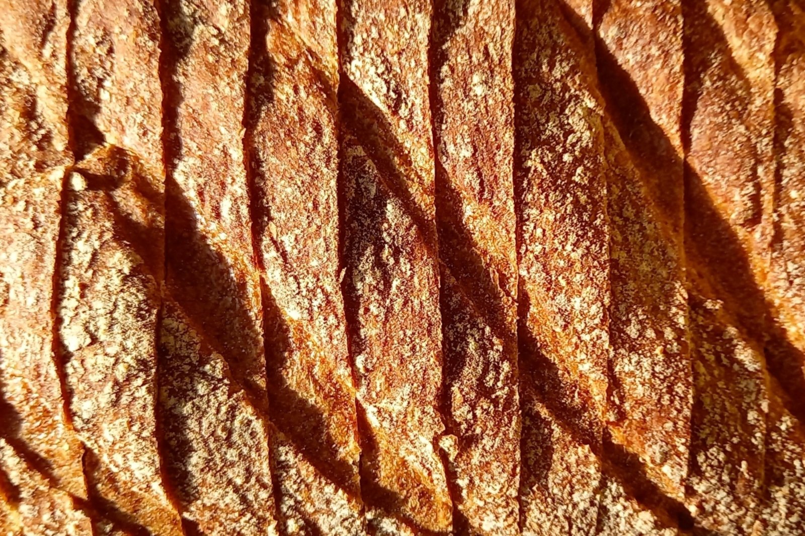 The Real Bread Campaign | Real Bread Campaign