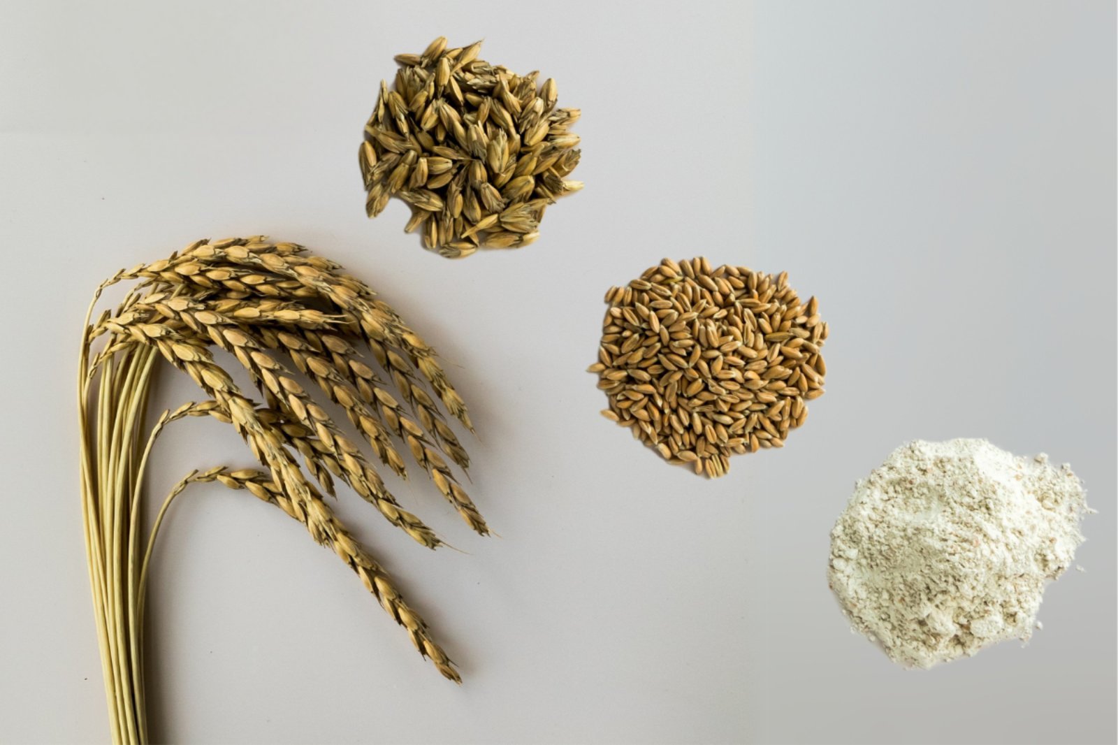 Can flour power change the world? | Real Bread Campaign