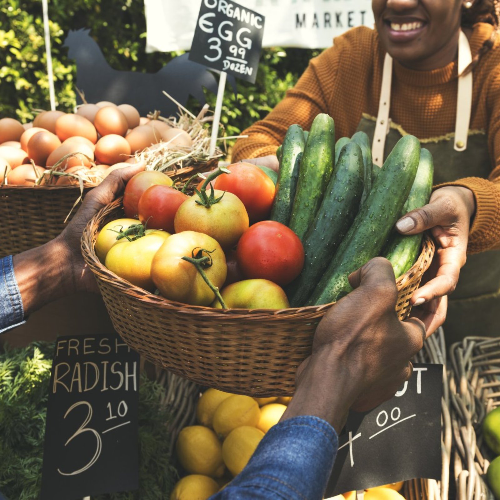 Why local food | Local Food Plan
