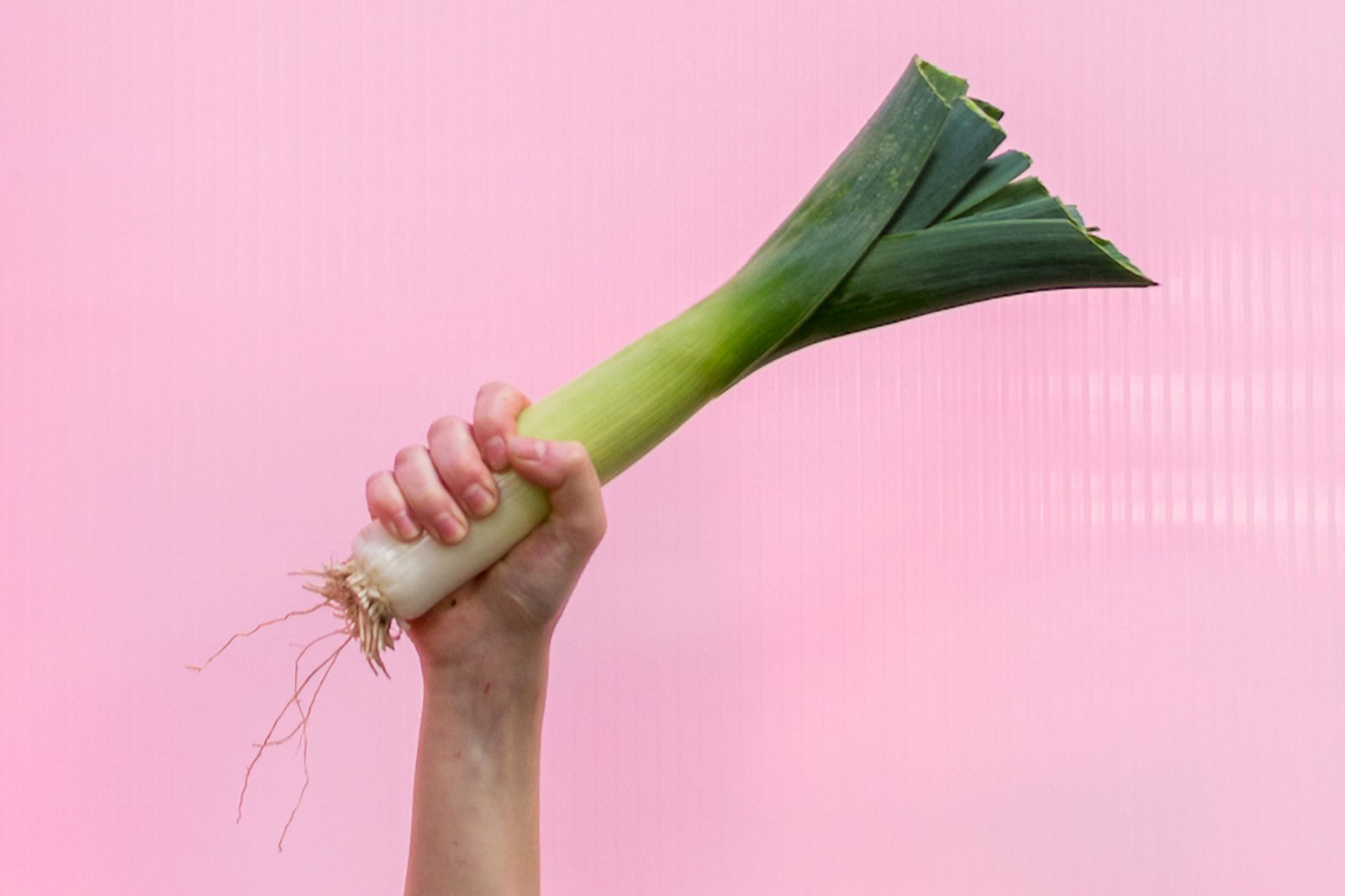 Growing the Local Food Sector: A snapshot of barriers and solutions ...