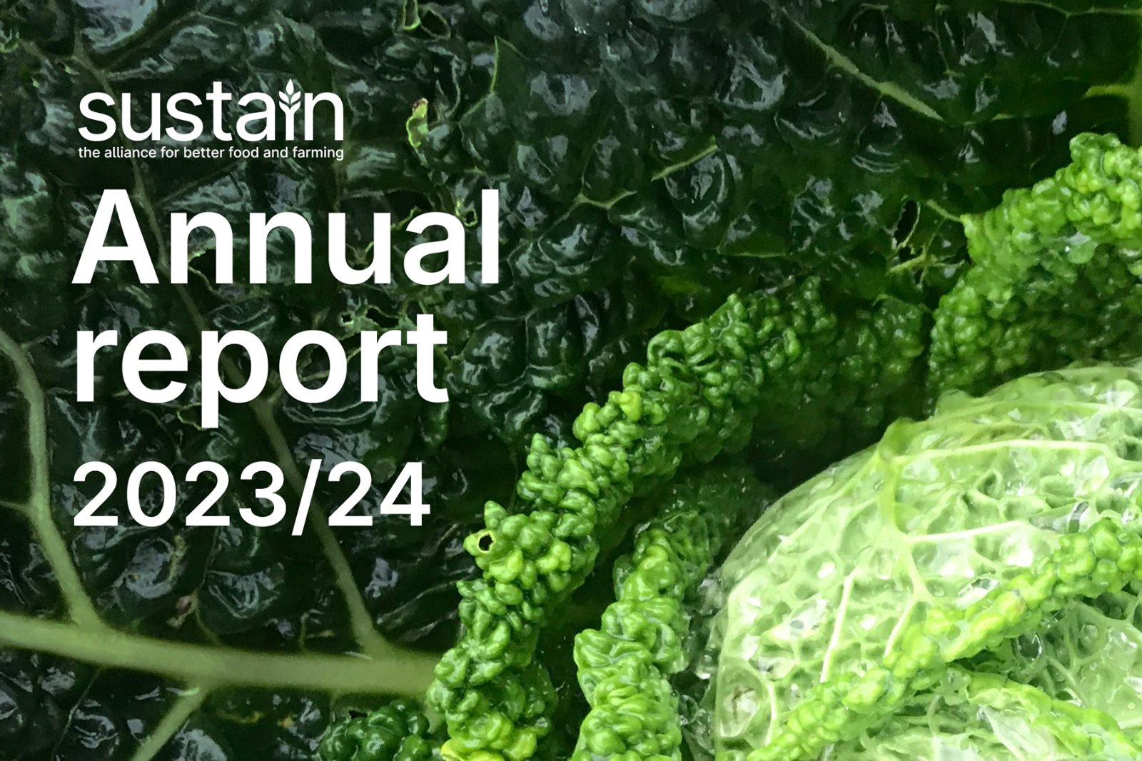 Sustain alliance publishes annual report and shares AGM outcomes | Sustain
