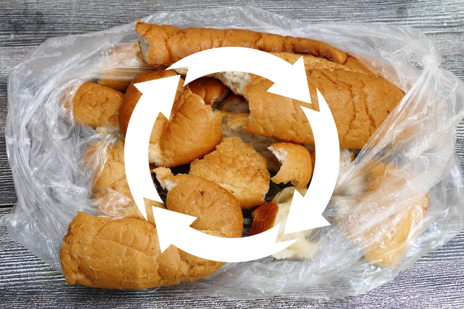 Got a bread waste reduction idea? | Sustain