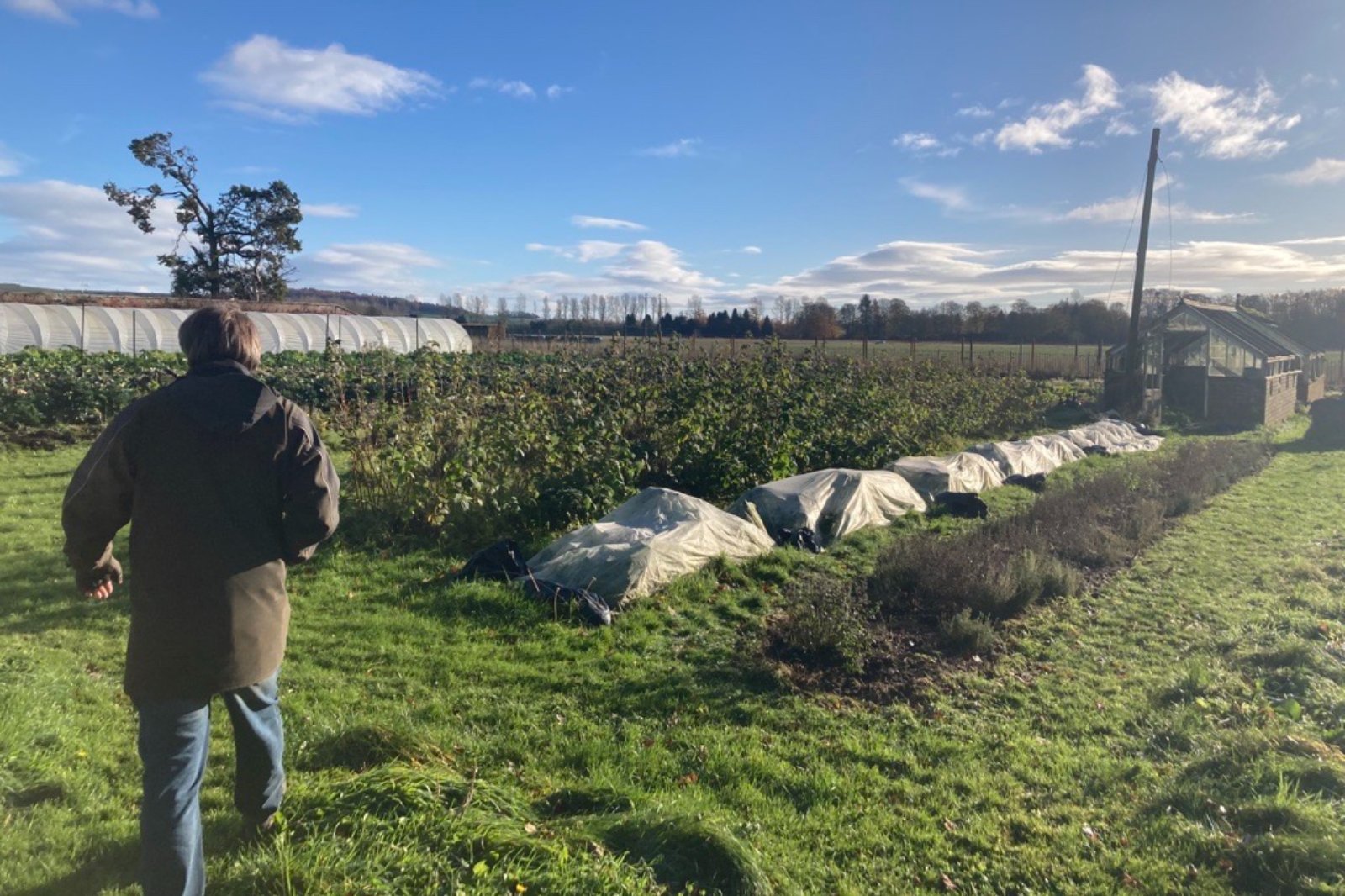 Aberdeen City Gives Peas a Chance | Sustain