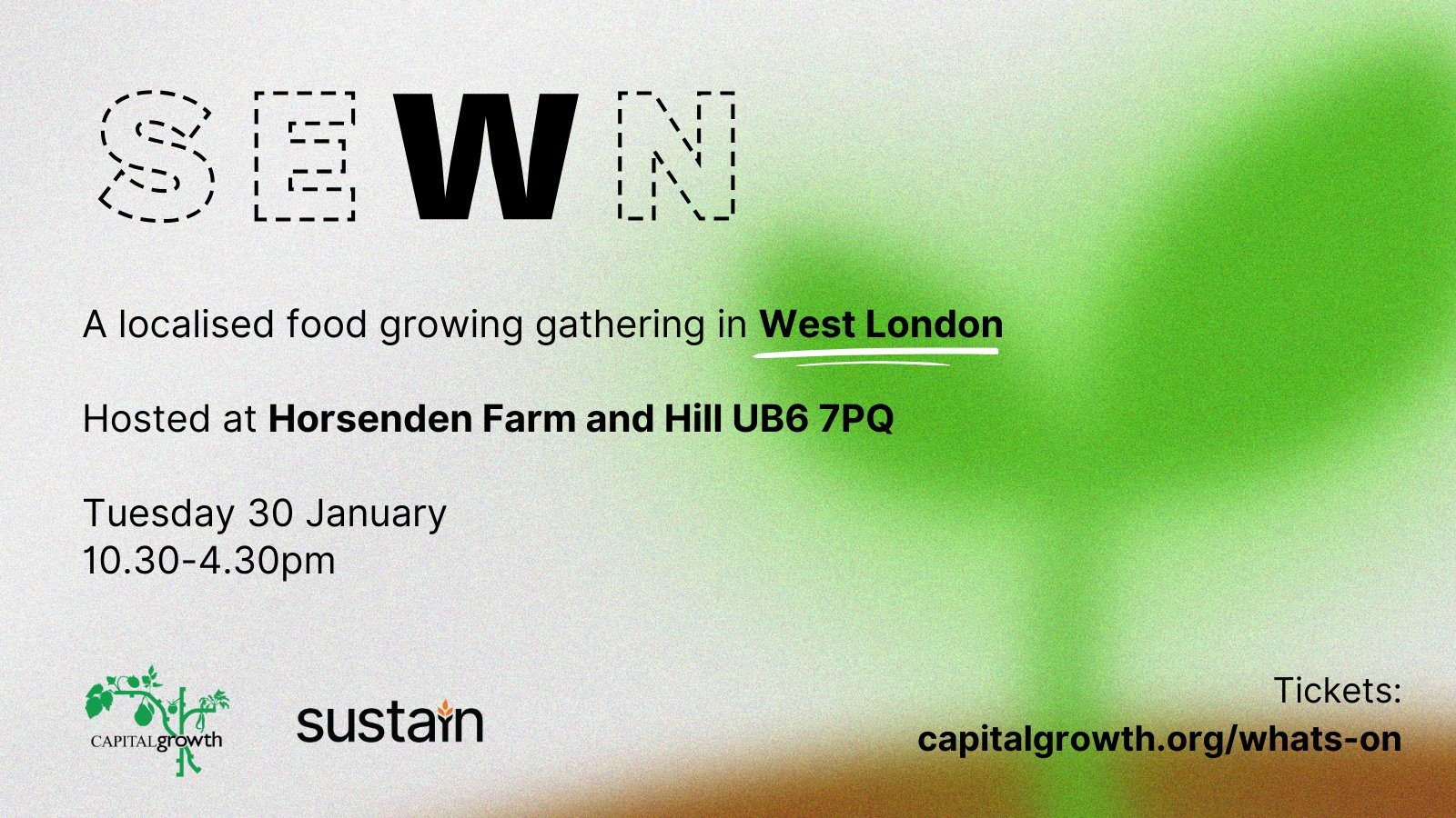 SEWN Together – a localised food growing gathering in West London | Sustain