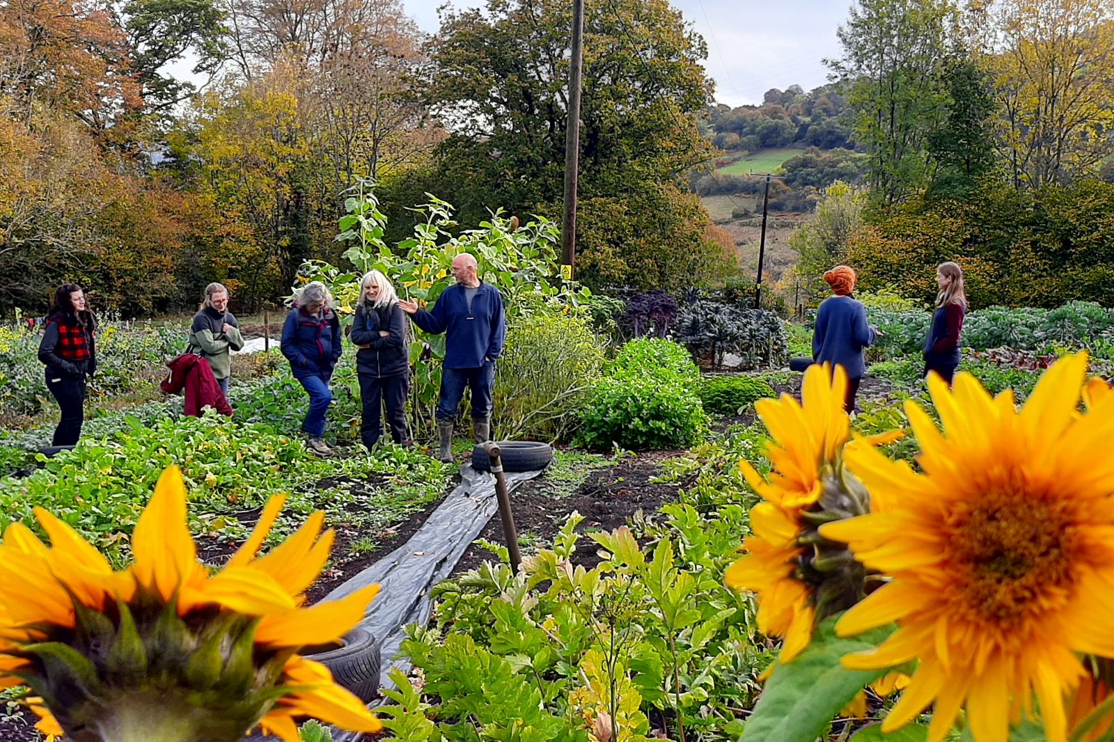 Growing more veg, but where, and how? | Sustain