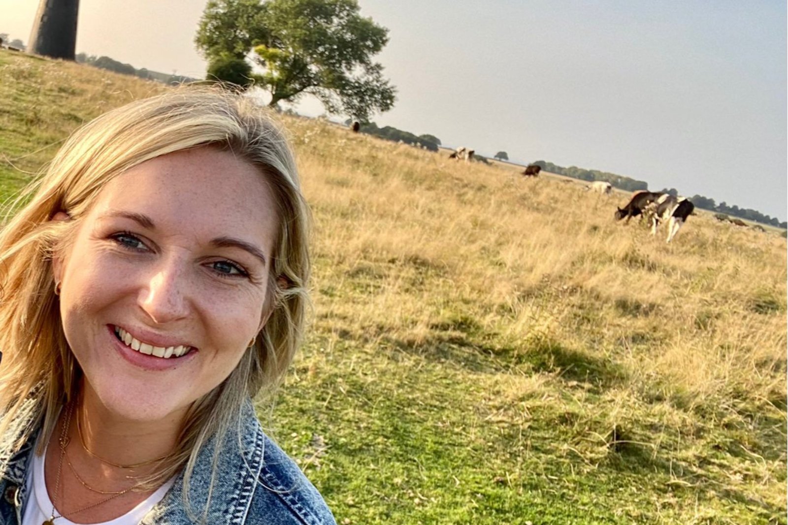 Want to find out how to get a job in the sustainable food movement ...