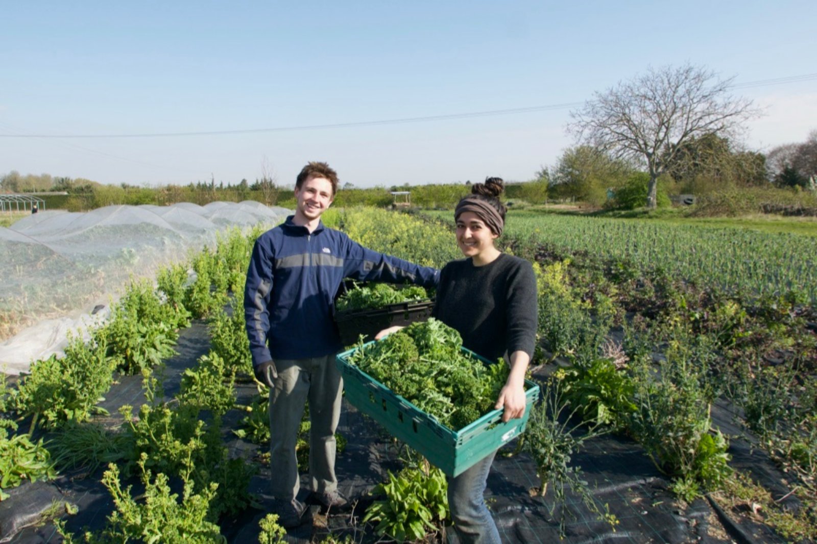 Sutton Community Farm launches Crowdfunder to survive the cost-of ...