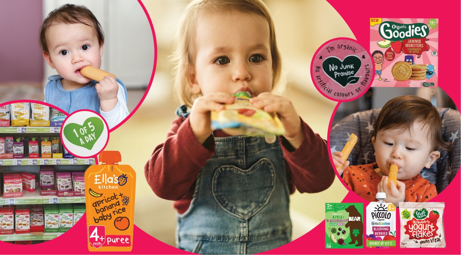 Commercial Baby Foods in Crisis: Addressing Health, Marketing and ...