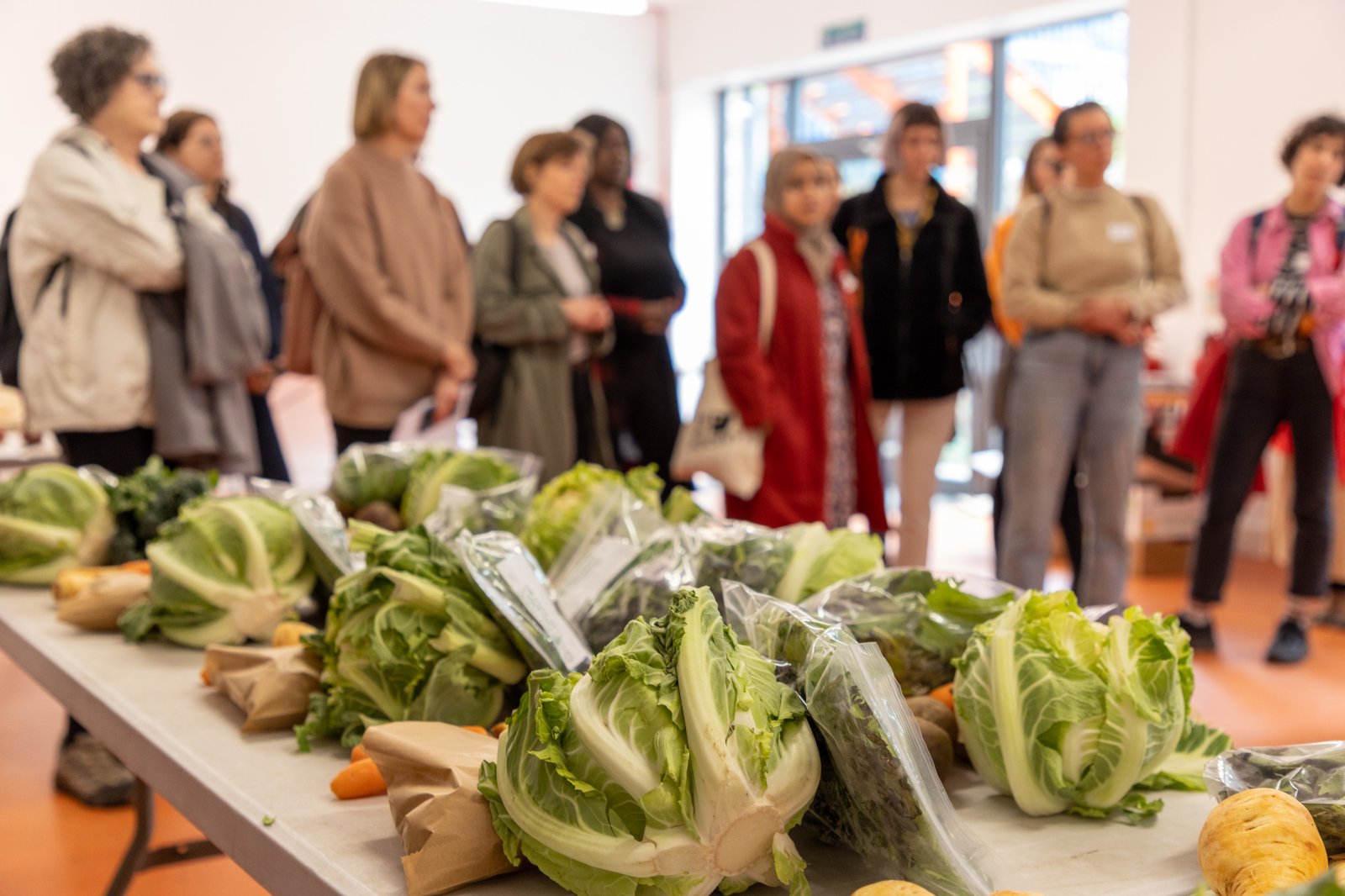 Introducing Bridging the Gap, making agroecological food affordable to ...