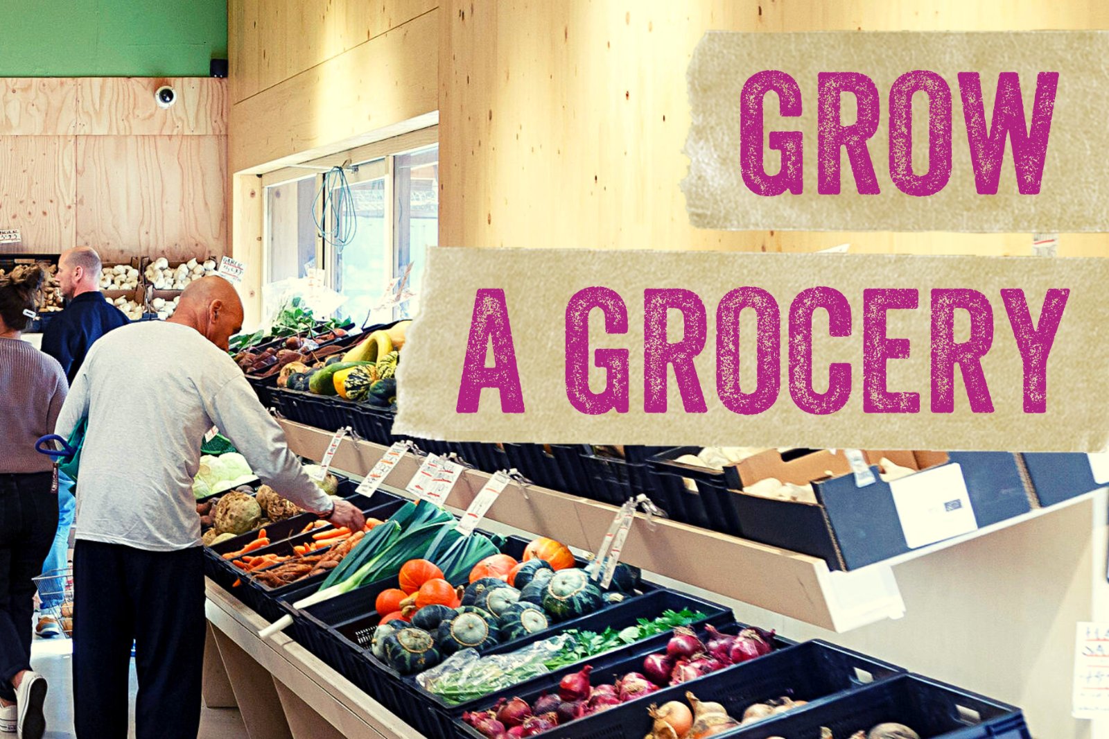 Grow your own Grocery: free guide from folk who know their onions | Sustain