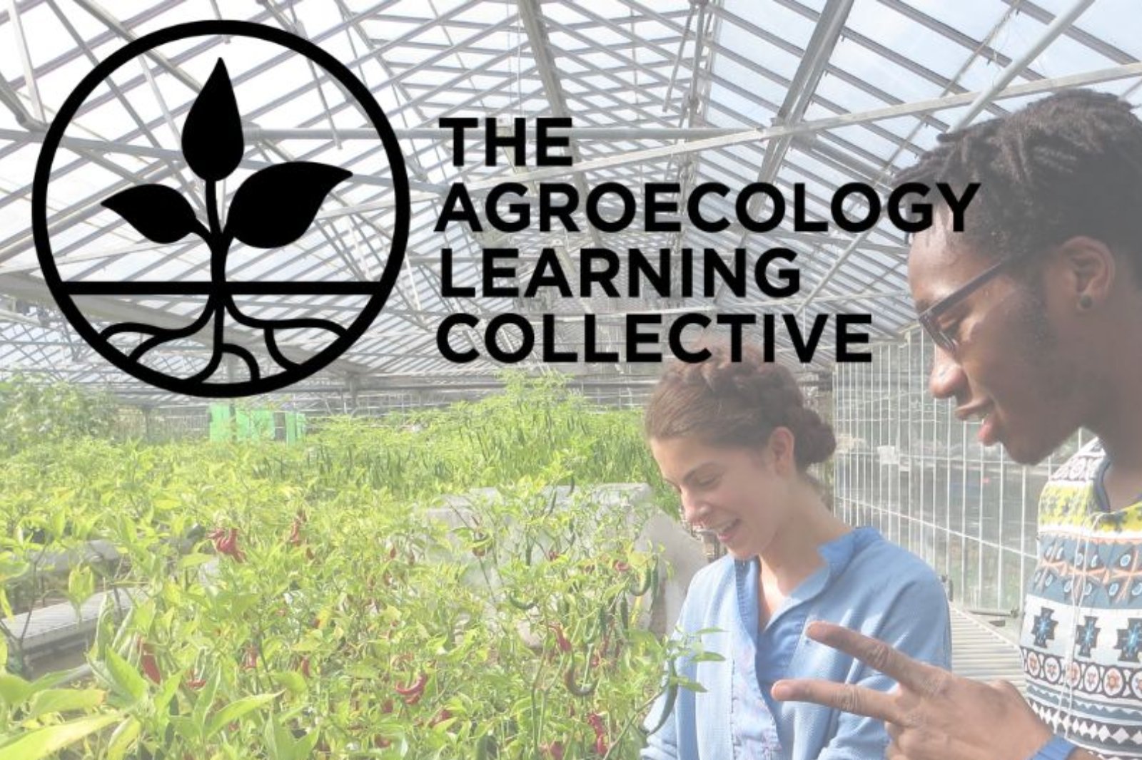 Training and skills development in agroecological farming practices ...