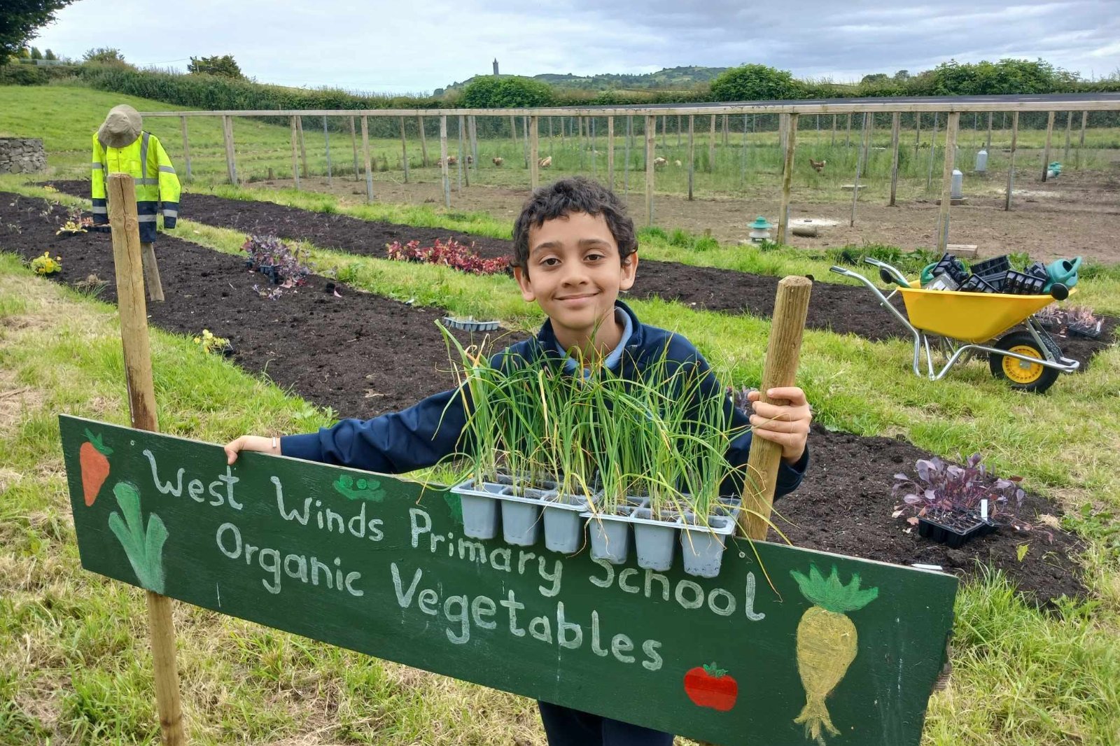 New affordable agroecological veg pilot launches in Newtownards | Sustain