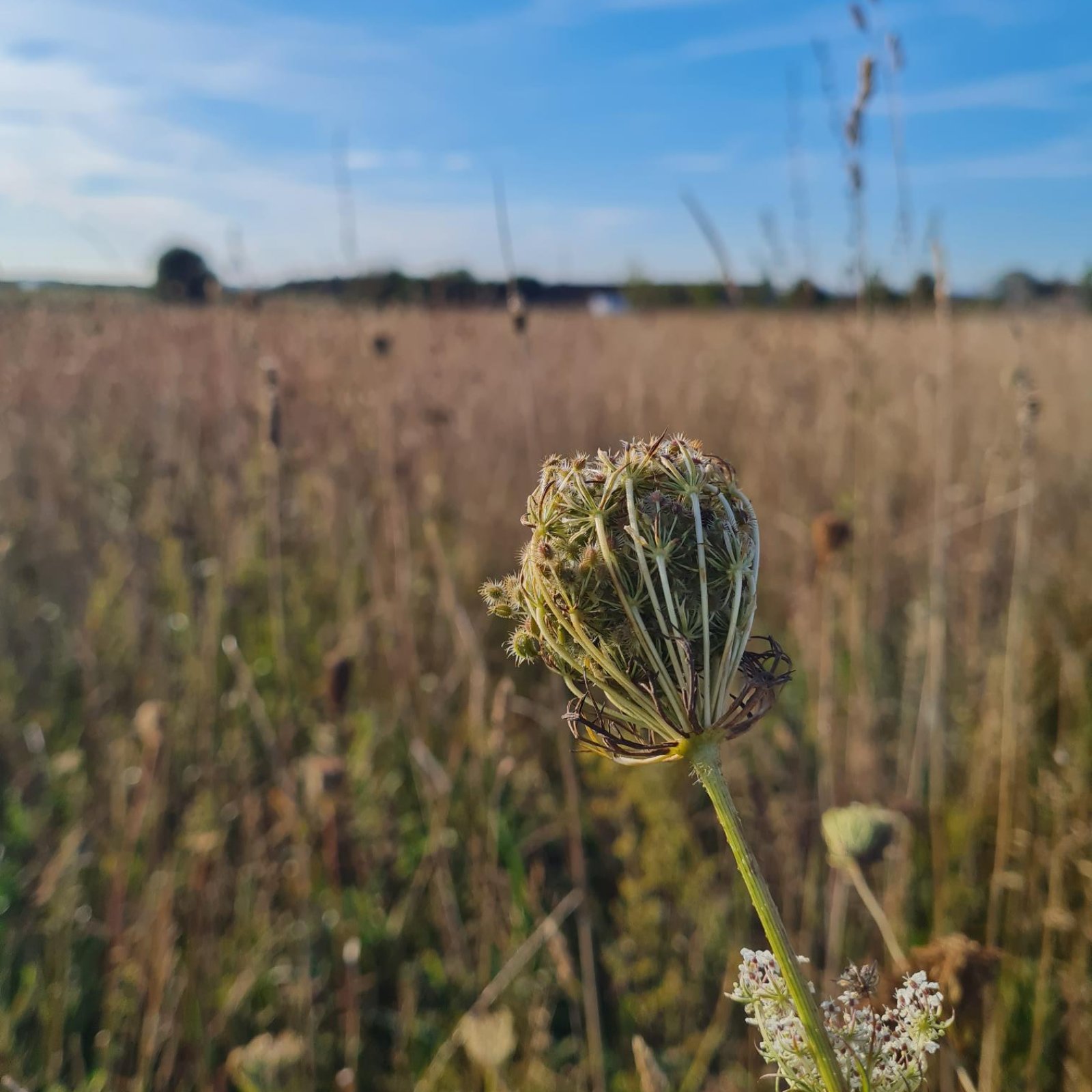 Emergent Generation is building a movement of new farming entrants ...