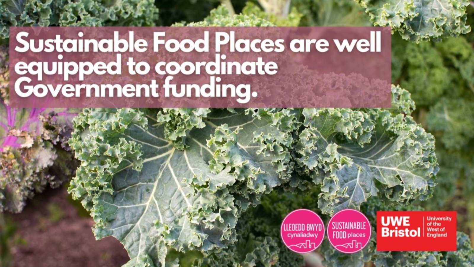 Food partnerships well equipped to coordinate government funding | Sustain