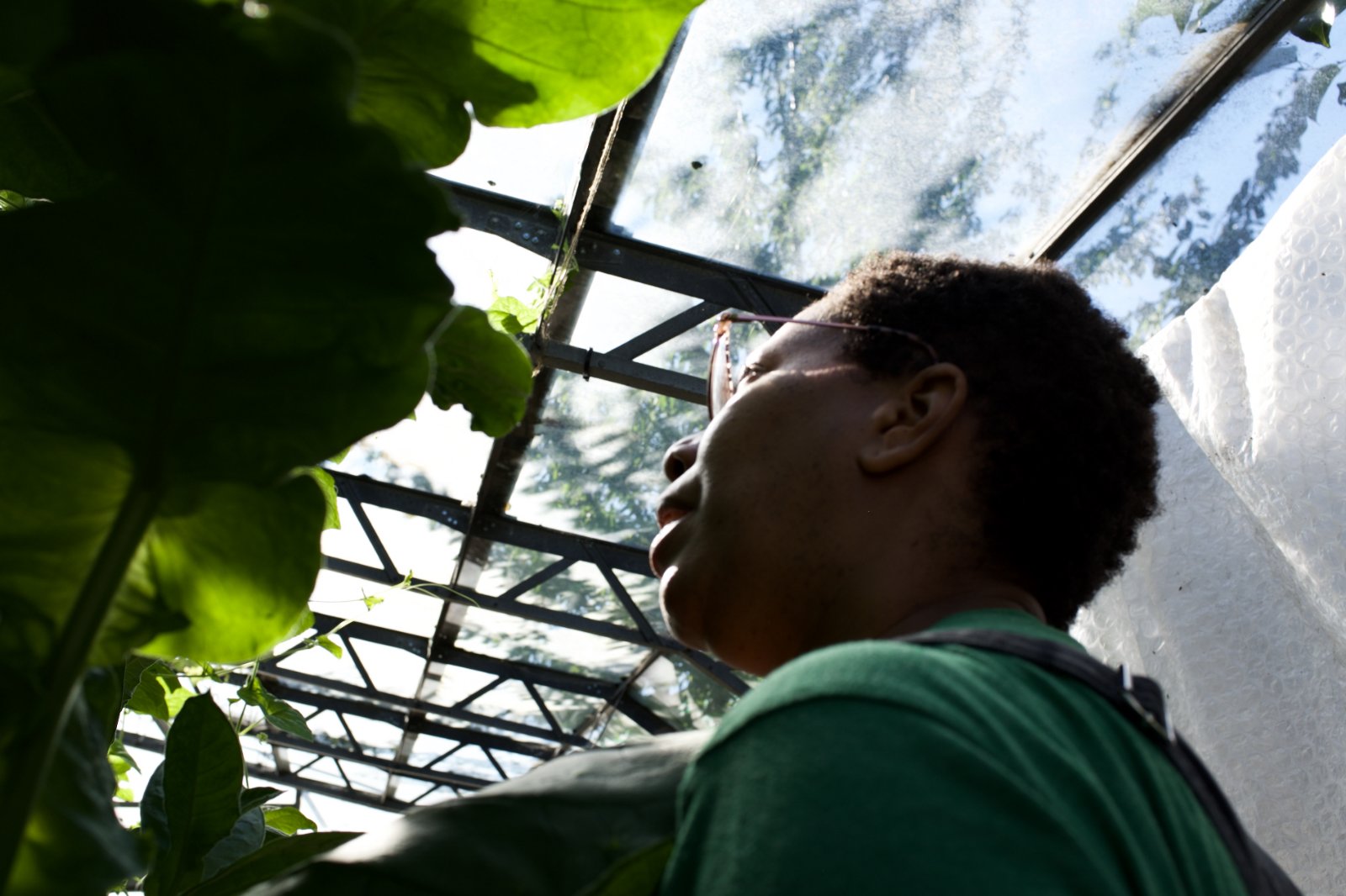 Report on Rootz into Food Growing project calls for further movement ...