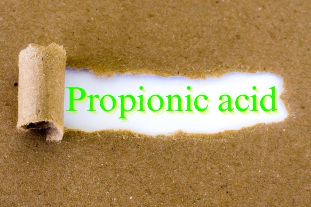 Fermented wheat flour = stealth additive? | Real Bread Campaign