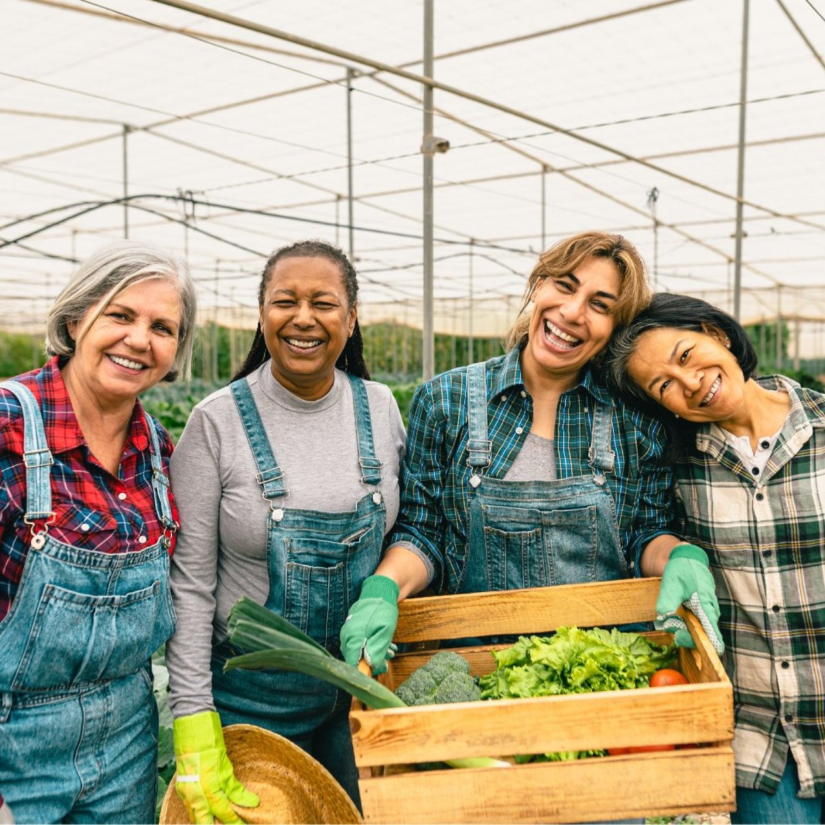 Why local food | Local Food Plan