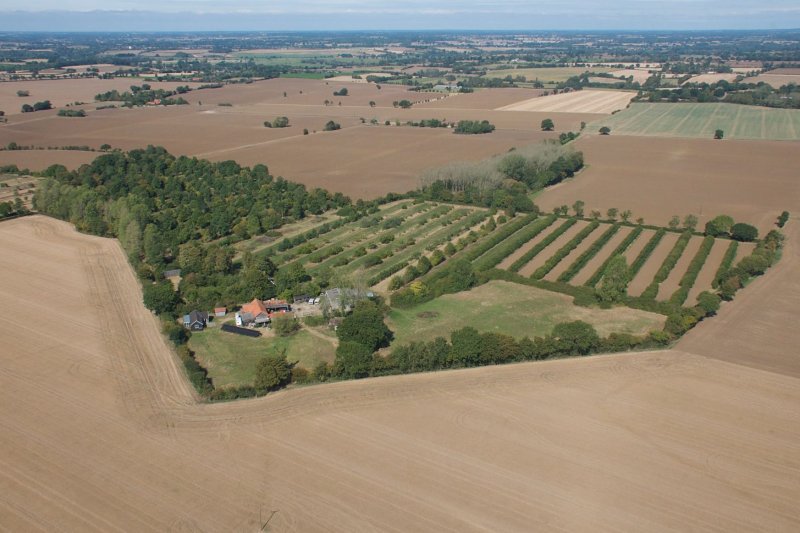 Planning rules to allow agricultural diversification | Sustain