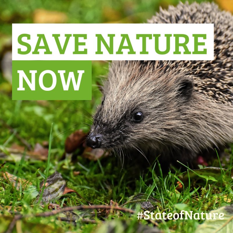 New state of nature report shows that biodiversity loss is still out of ...