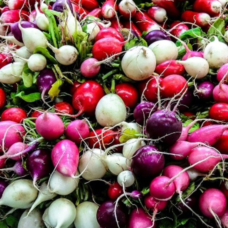 Why local food | Local Food Plan