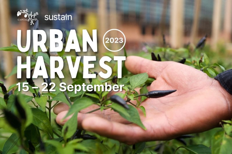 Urban Harvest | Capital Growth