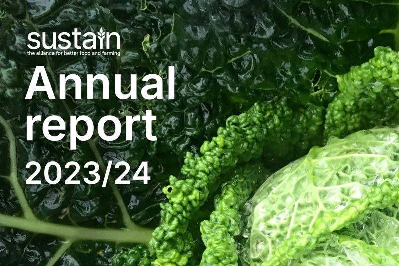 Sustain alliance publishes annual report and shares AGM outcomes | Sustain