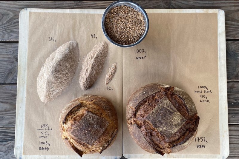Wholemeal: better bred bread | Real Bread Campaign