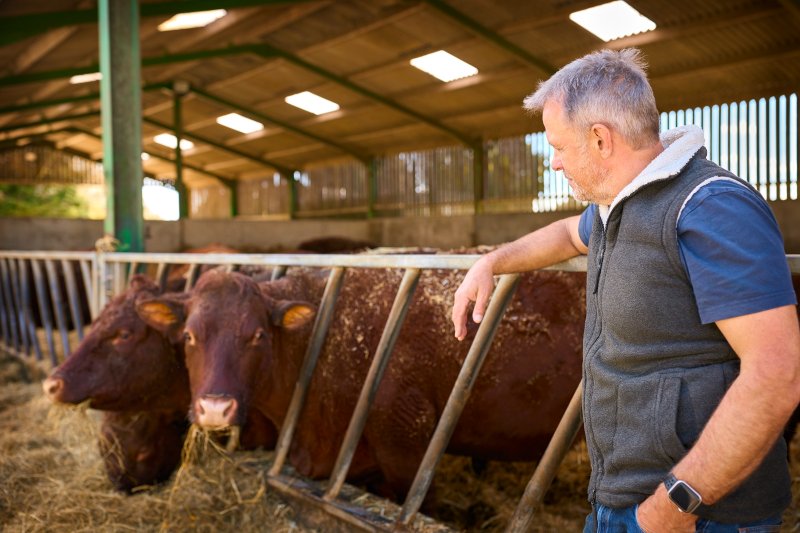 Inheritance Tax: What the new rules mean for farmers | Sustain