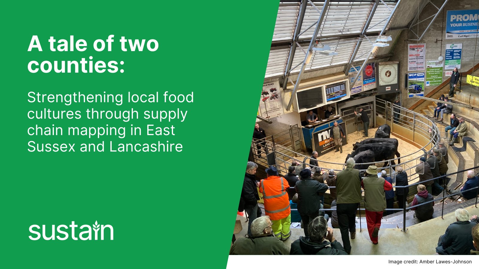 A tale of two counties: Strengthening local food cultures through ...