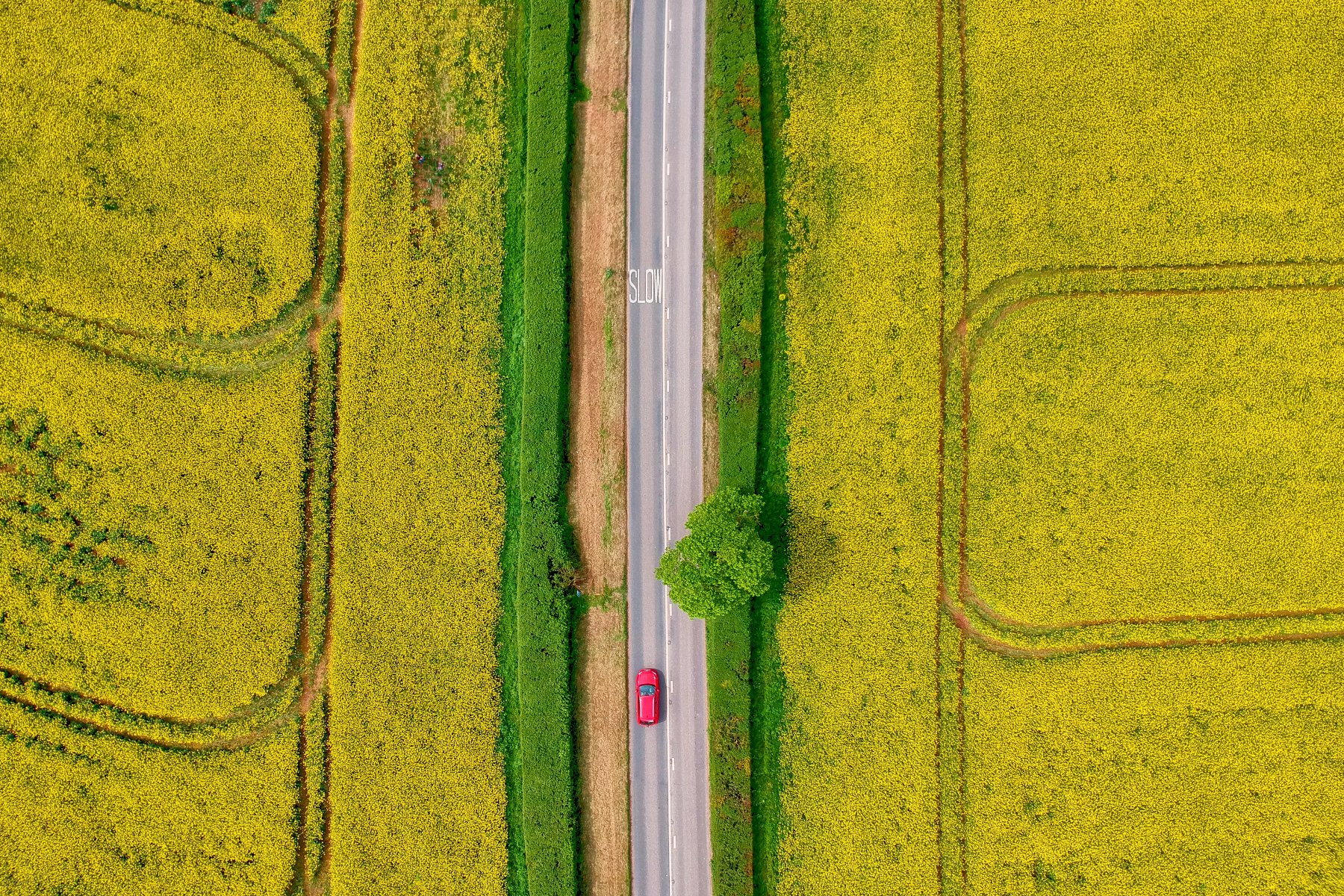 Sustainable Farming Campaign | Sustain