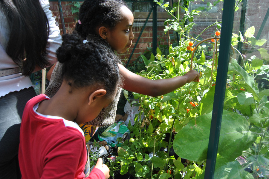 Growing Culture events | Capital Growth