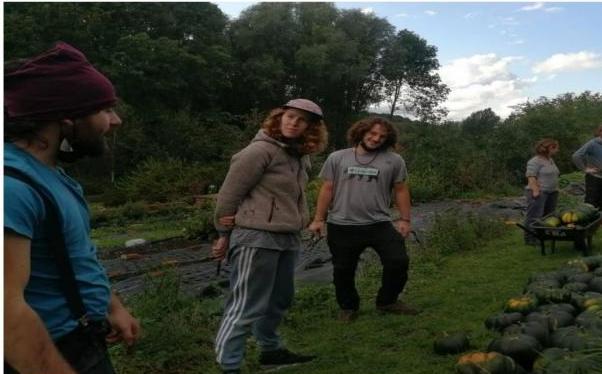 Meanwood Valley Urban Farm celebrates 40 years of growing food for the ...