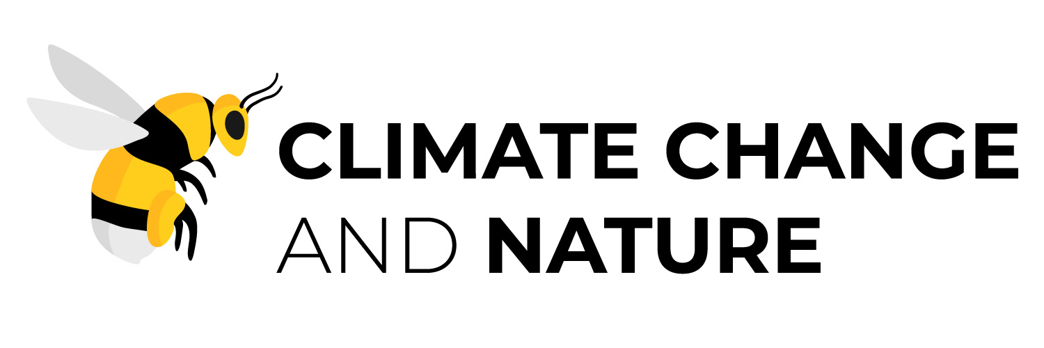 Every Mouthful Counts: Food in city-based responses to climate and ...