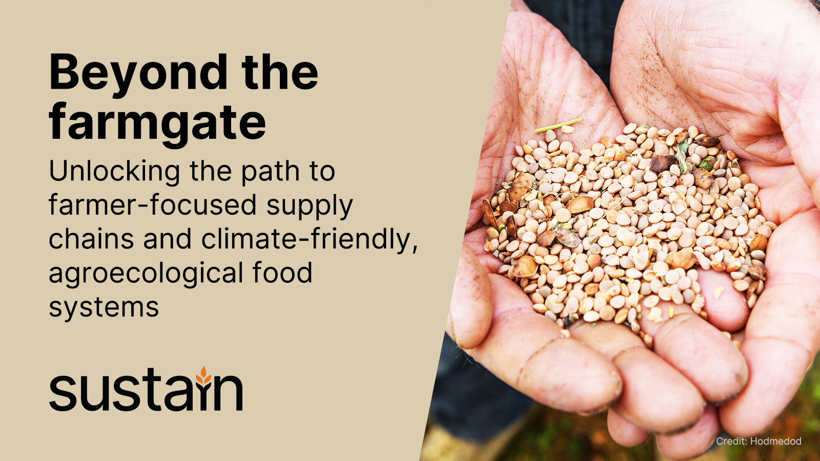 Beyond the farmgate: Unlocking the path to farmer-focused supply chains ...